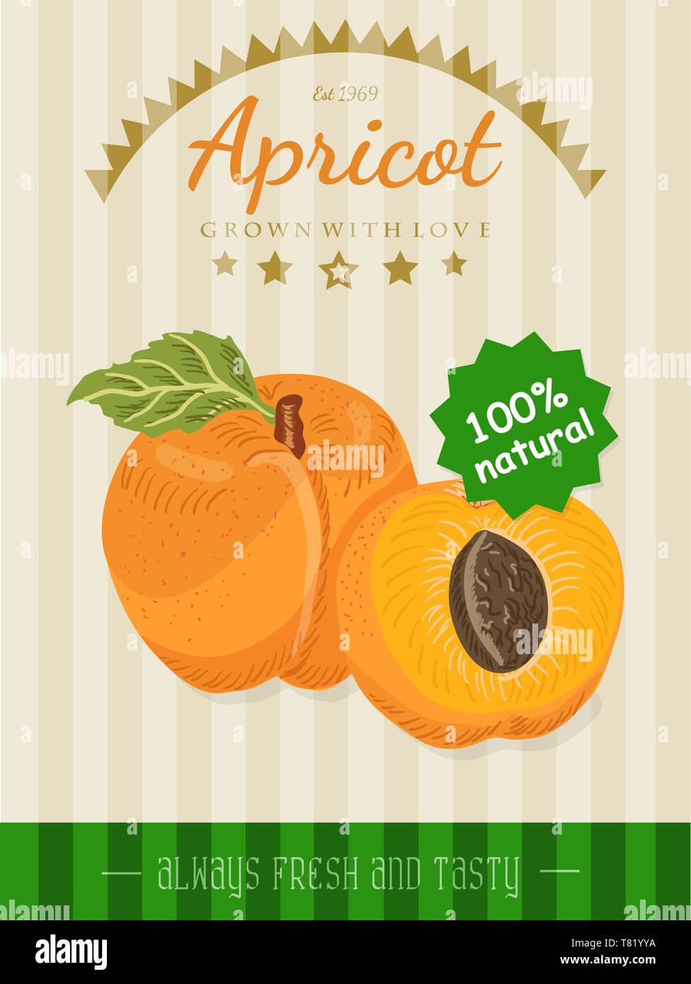 Vector poster with a apricot. Vector illustration for your design Stock ...