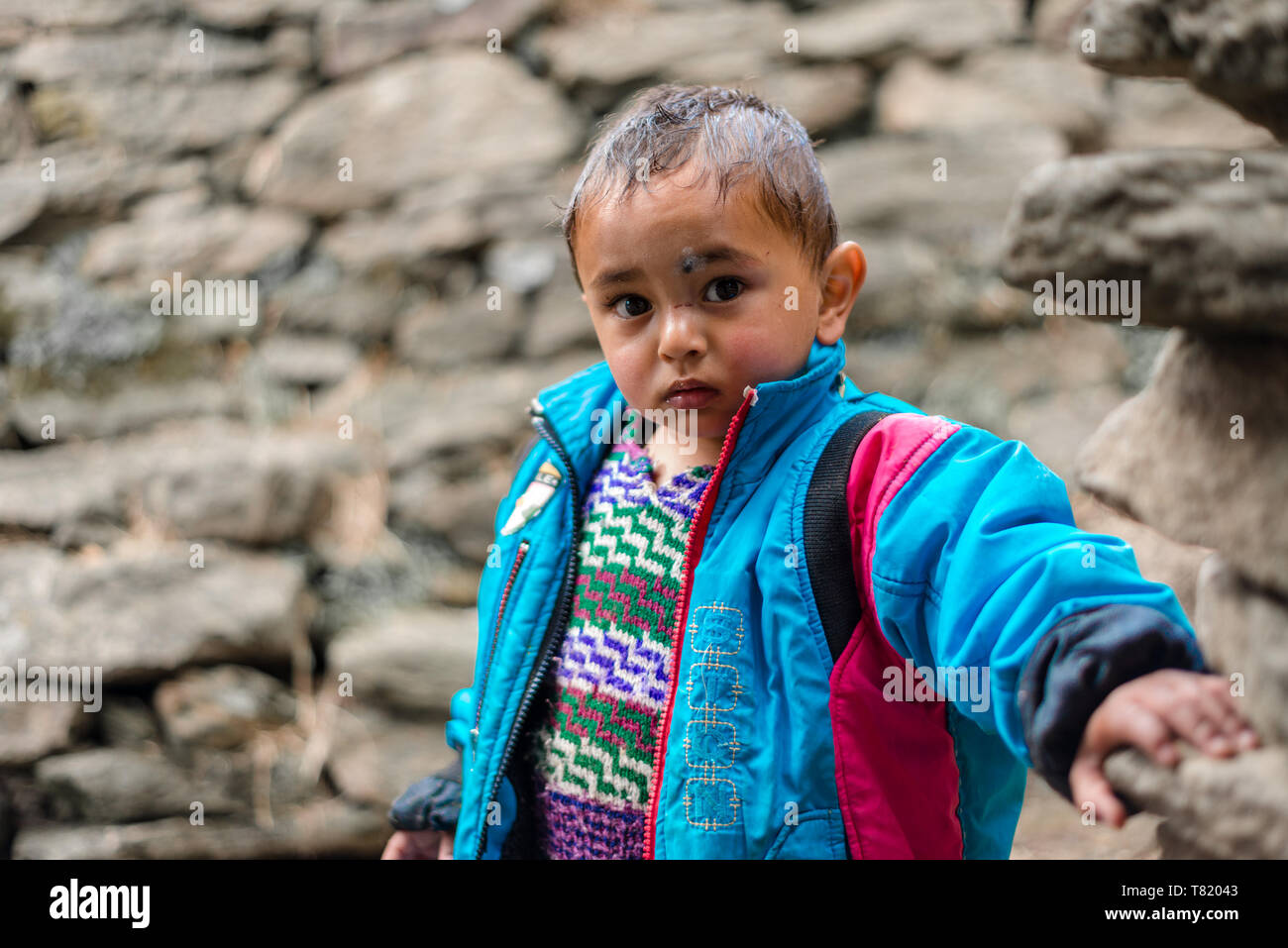 Kullu, Himachal Pradesh, India - April 01, 2019 : Portrait of Himalayan ...