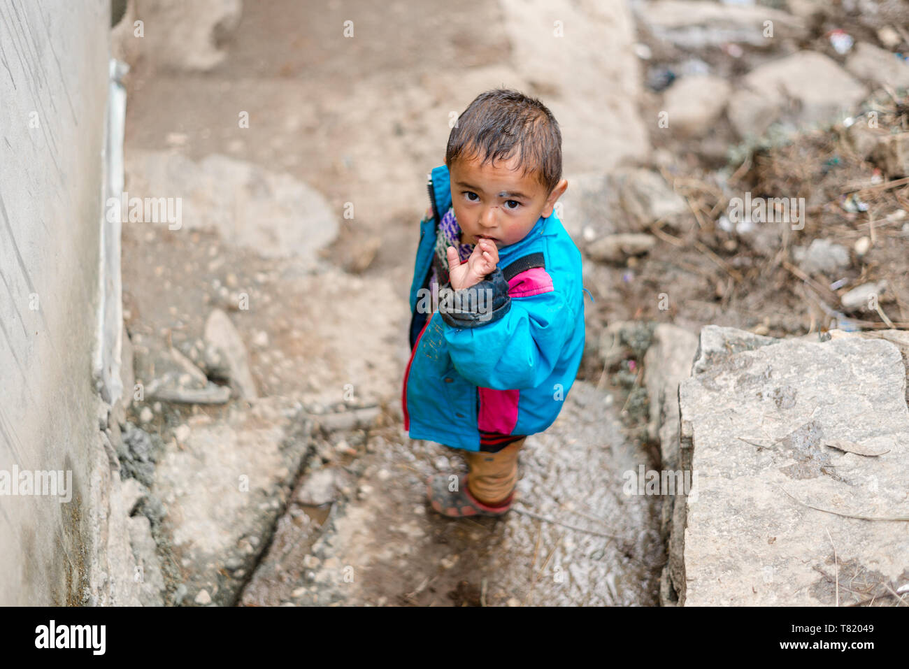 Kullu, Himachal Pradesh, India - April 01, 2019 : Portrait of Himalayan ...