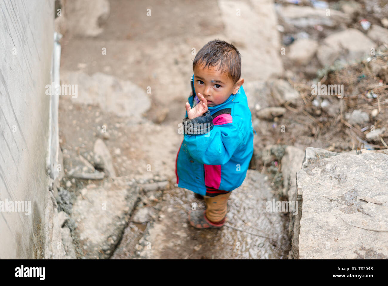Kullu, Himachal Pradesh, India - April 01, 2019 : Portrait of Himalayan ...