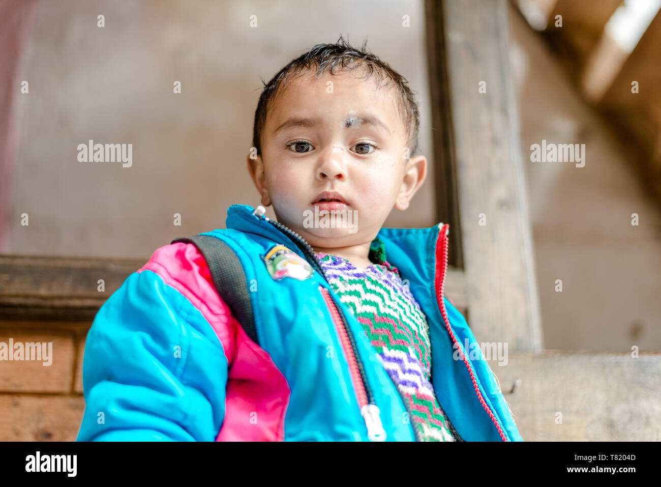 Kullu, Himachal Pradesh, India - April 01, 2019 : Portrait of Himalayan ...