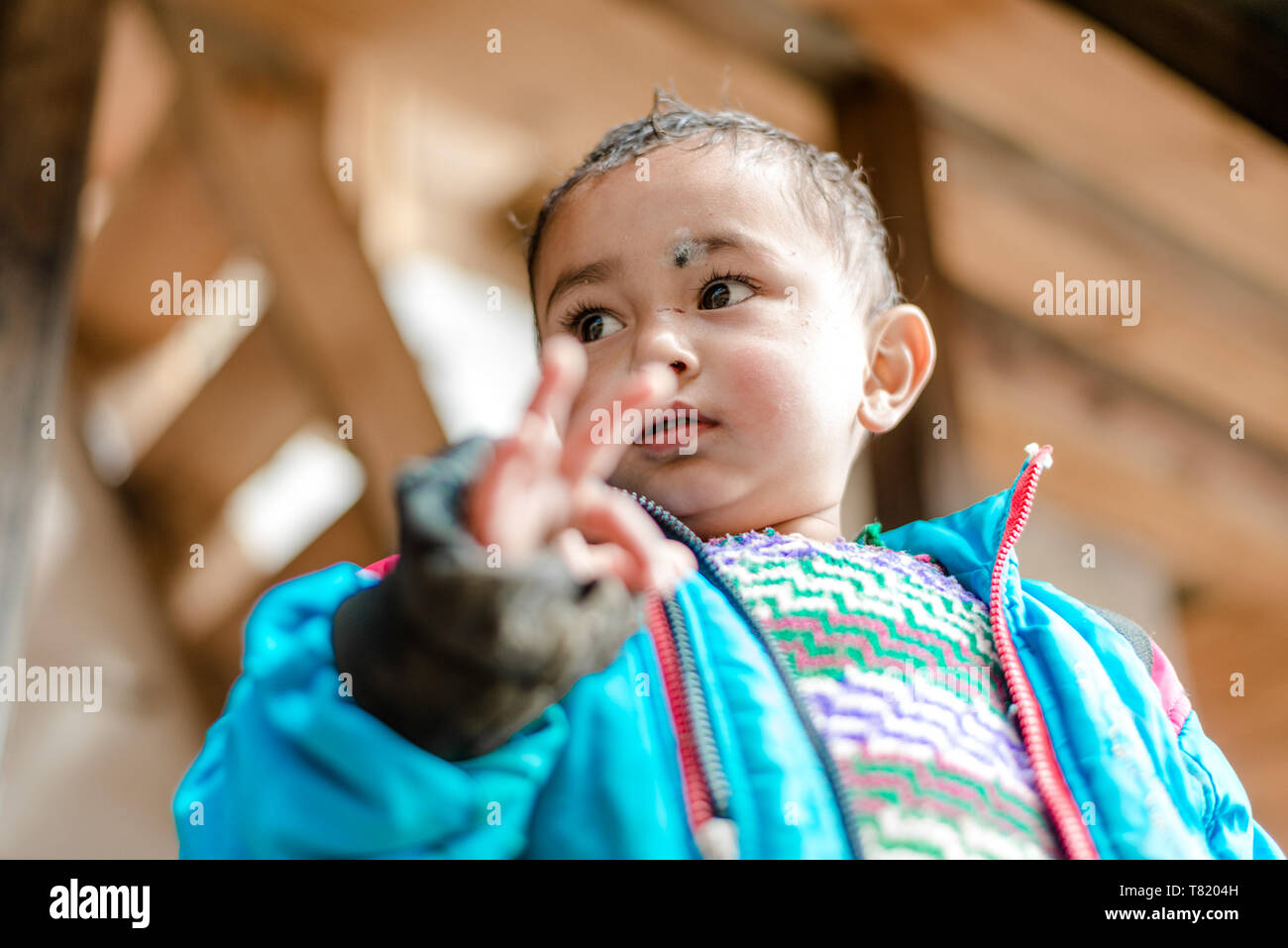 Kullu, Himachal Pradesh, India - April 01, 2019 : Portrait of Himalayan ...