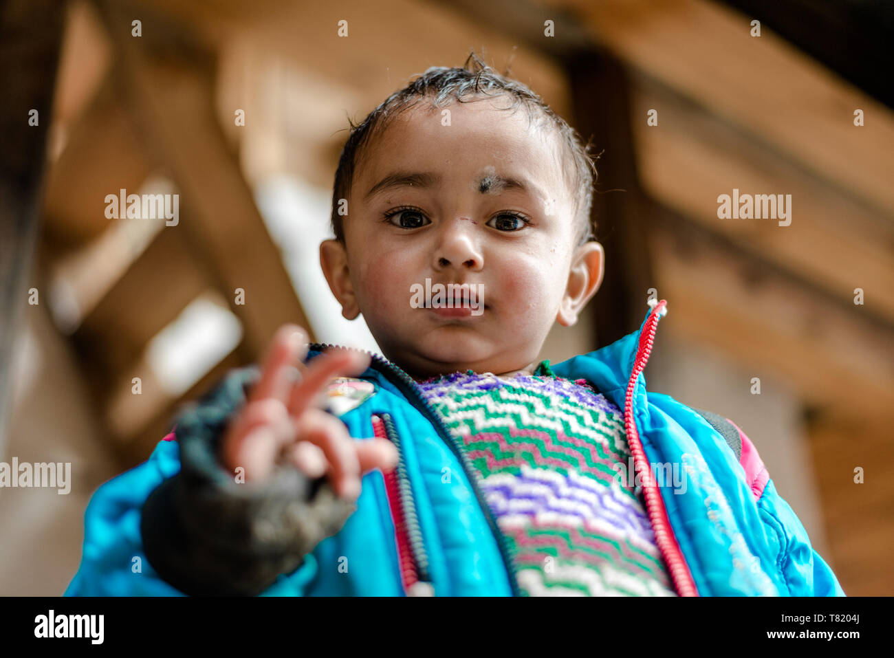 Kullu, Himachal Pradesh, India - April 01, 2019 : Portrait of Himalayan ...