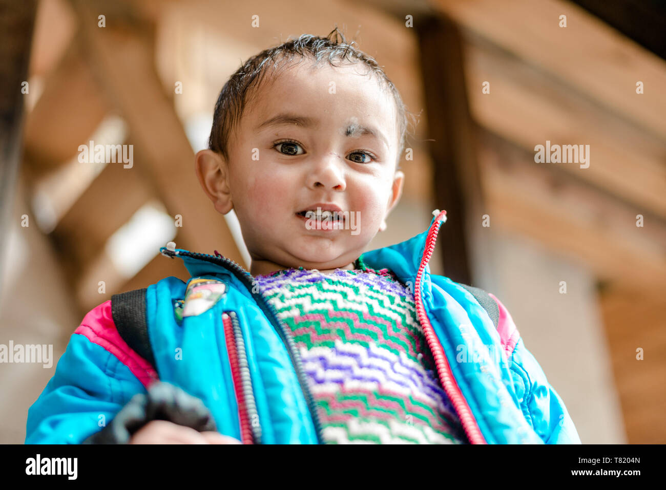 Kullu, Himachal Pradesh, India - April 01, 2019 : Portrait of Himalayan ...