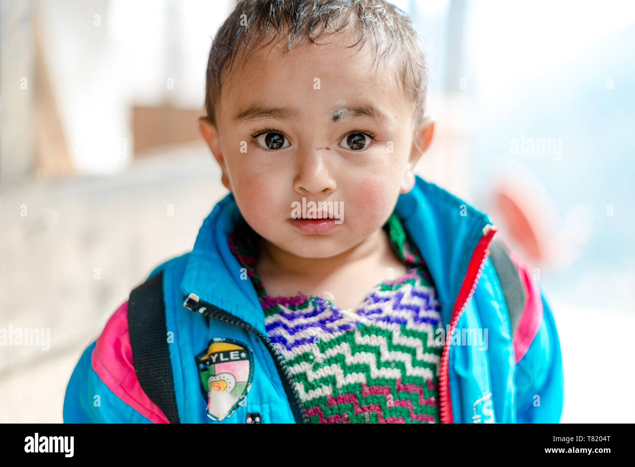 Kullu, Himachal Pradesh, India - April 01, 2019 : Portrait of Himalayan ...