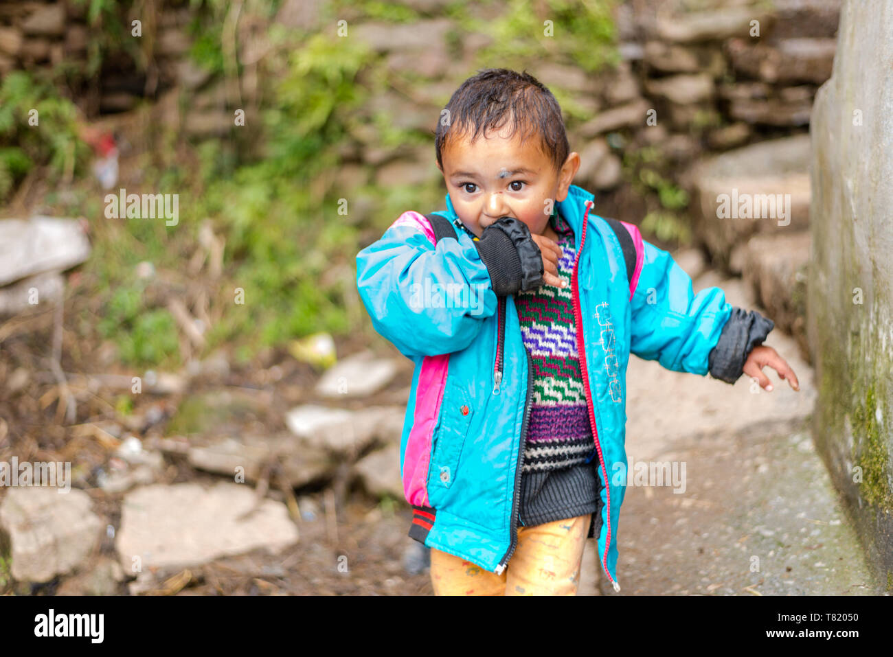 Kullu, Himachal Pradesh, India - April 01, 2019 : Portrait of Himalayan ...