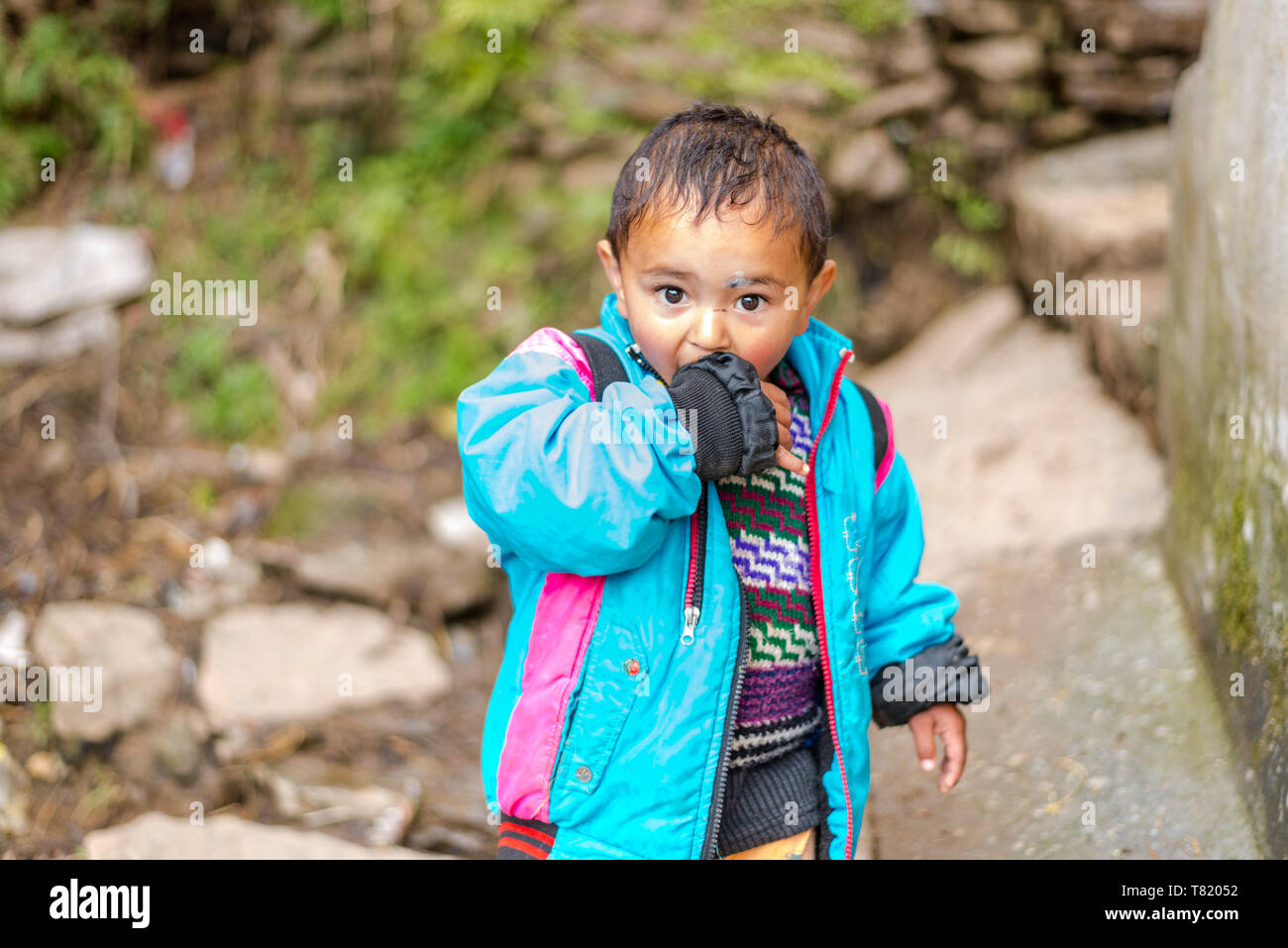 Kullu, Himachal Pradesh, India - April 01, 2019 : Portrait of Himalayan ...