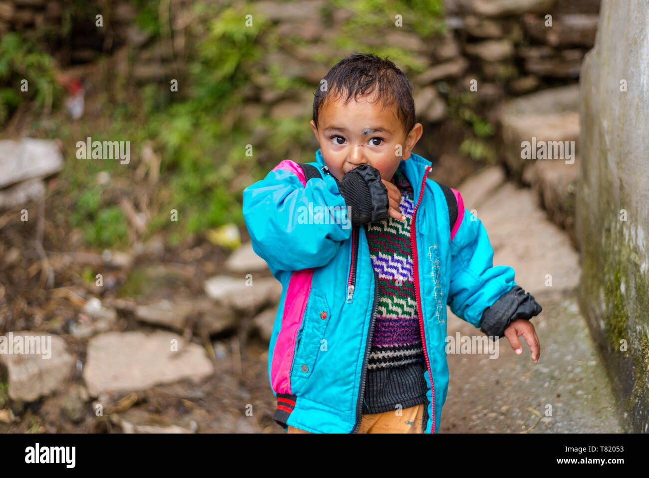 Kullu, Himachal Pradesh, India - April 01, 2019 : Portrait of Himalayan ...