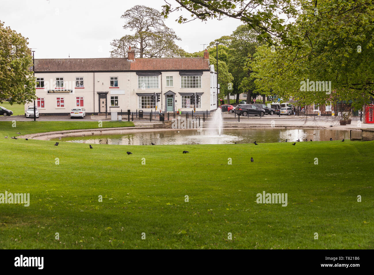 The scenic duck pond area at Norton on Tees,England,UK Stock Photo - Alamy