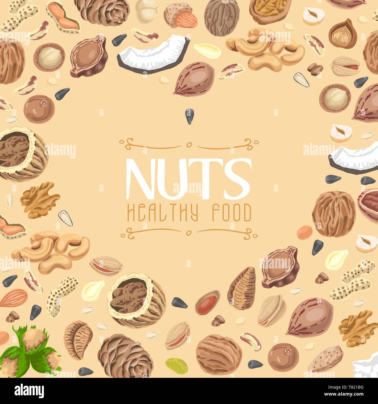 Pecan nut vector vectors hi-res stock photography and images - Alamy