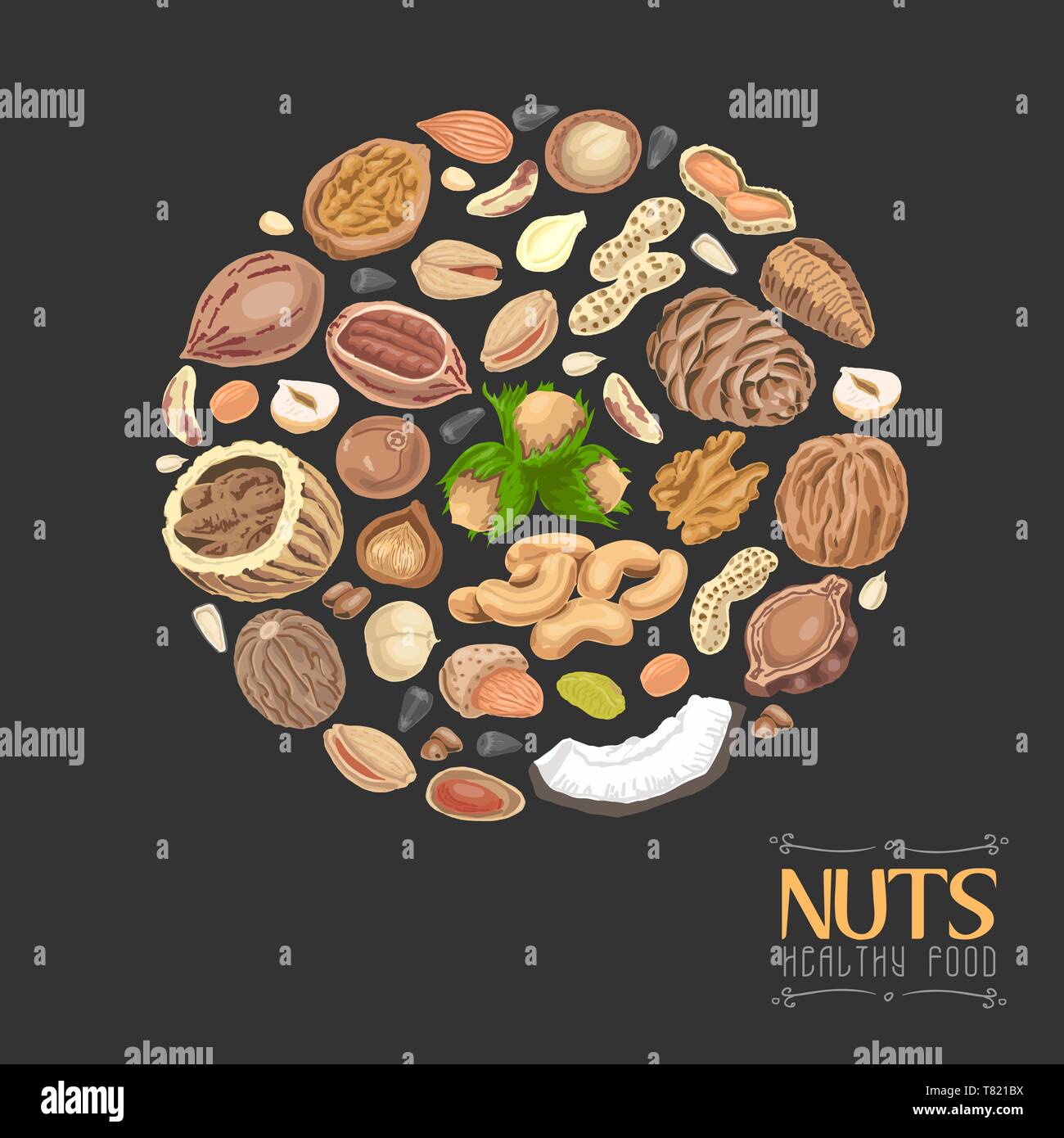Isolated circle of nuts and seeds. Vector illustration for your design ...