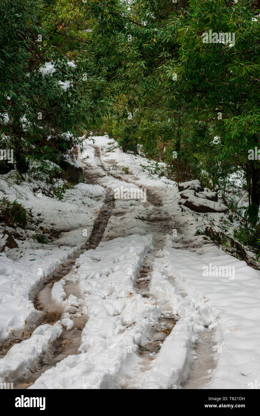 Road in Snow - Majestic winter landscape in himalayas - India Stock ...