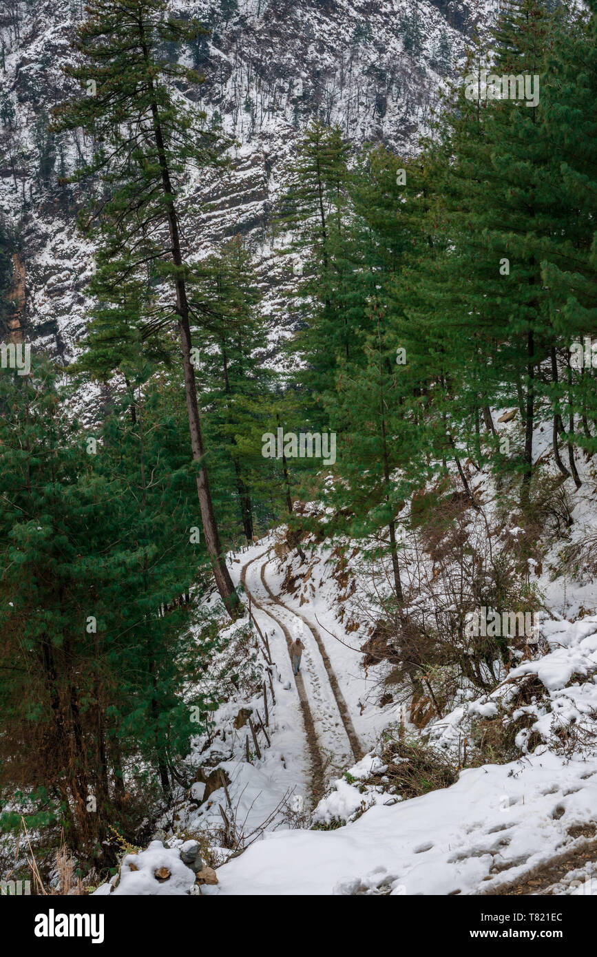 Road in Snow - Majestic winter landscape in himalayas - India Stock ...