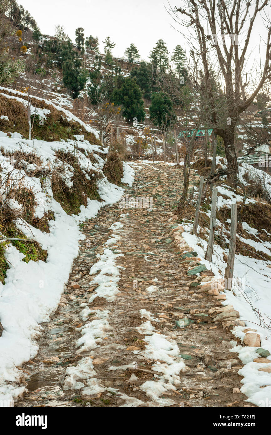 Road in Snow - Majestic winter landscape in himalayas - India Stock ...
