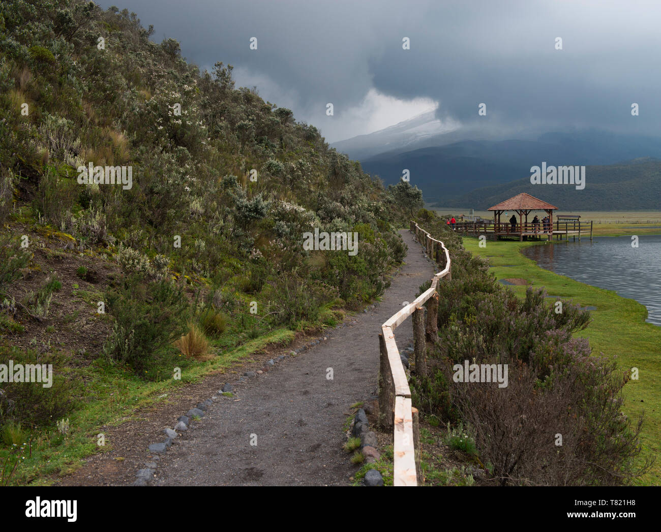 Cotopaxi volcano is near Quito in Ecuador, surrounded by a national ...