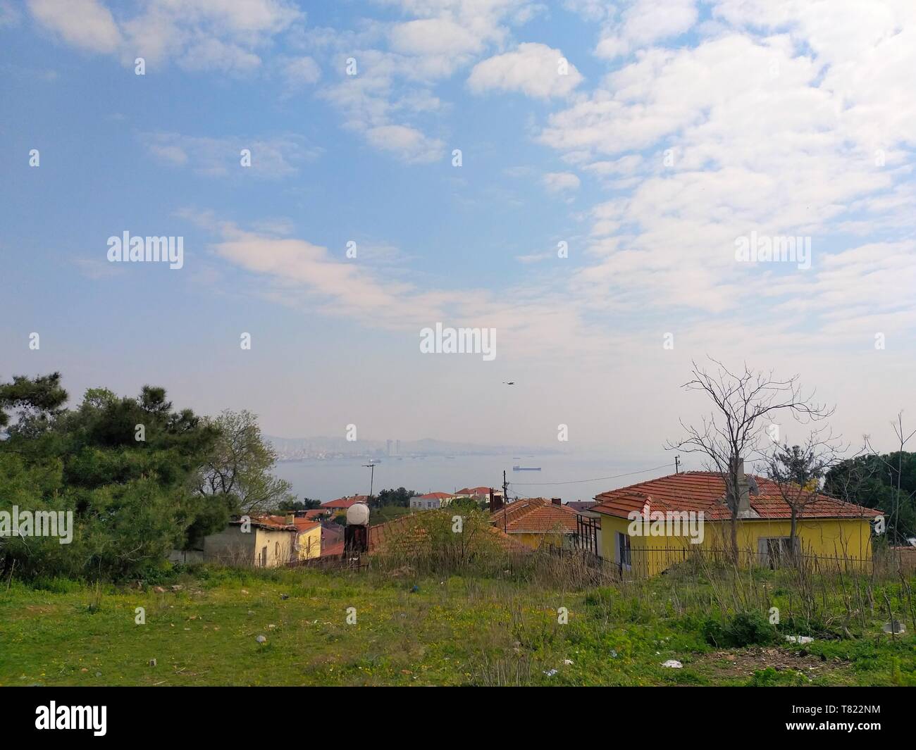 the prince island tree spring landscape natural lovers Stock Photo - Alamy