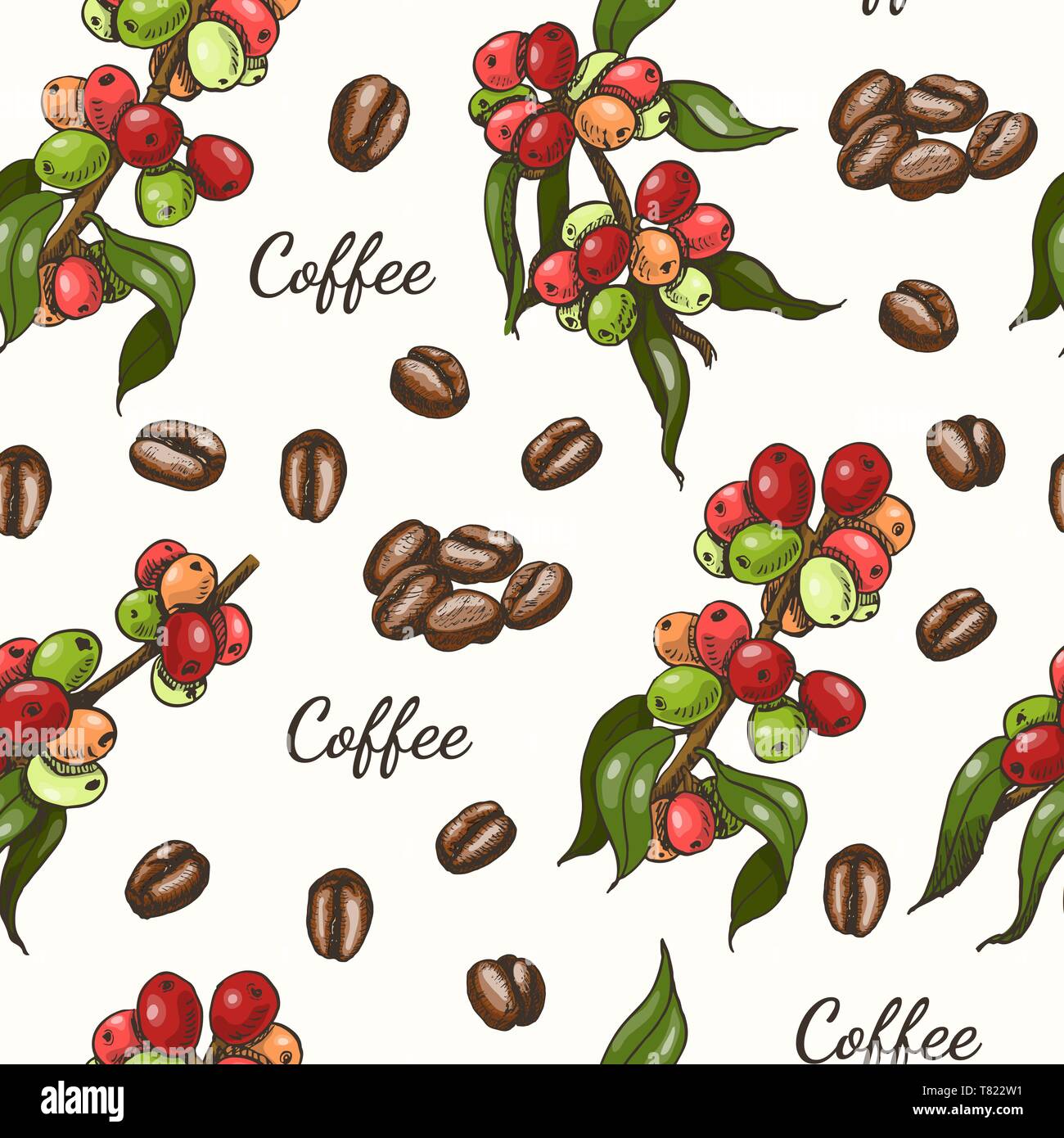 Vector pattern with coffee. Vector illustration for your design Stock ...