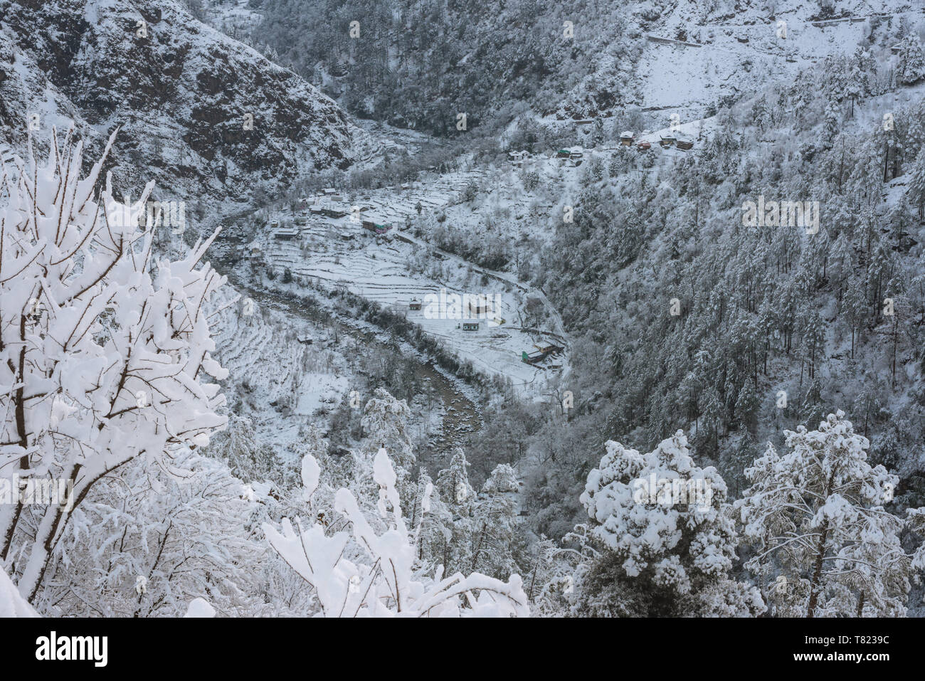 Majestic winter landscape in himalayas - Himachal, India Stock Photo ...