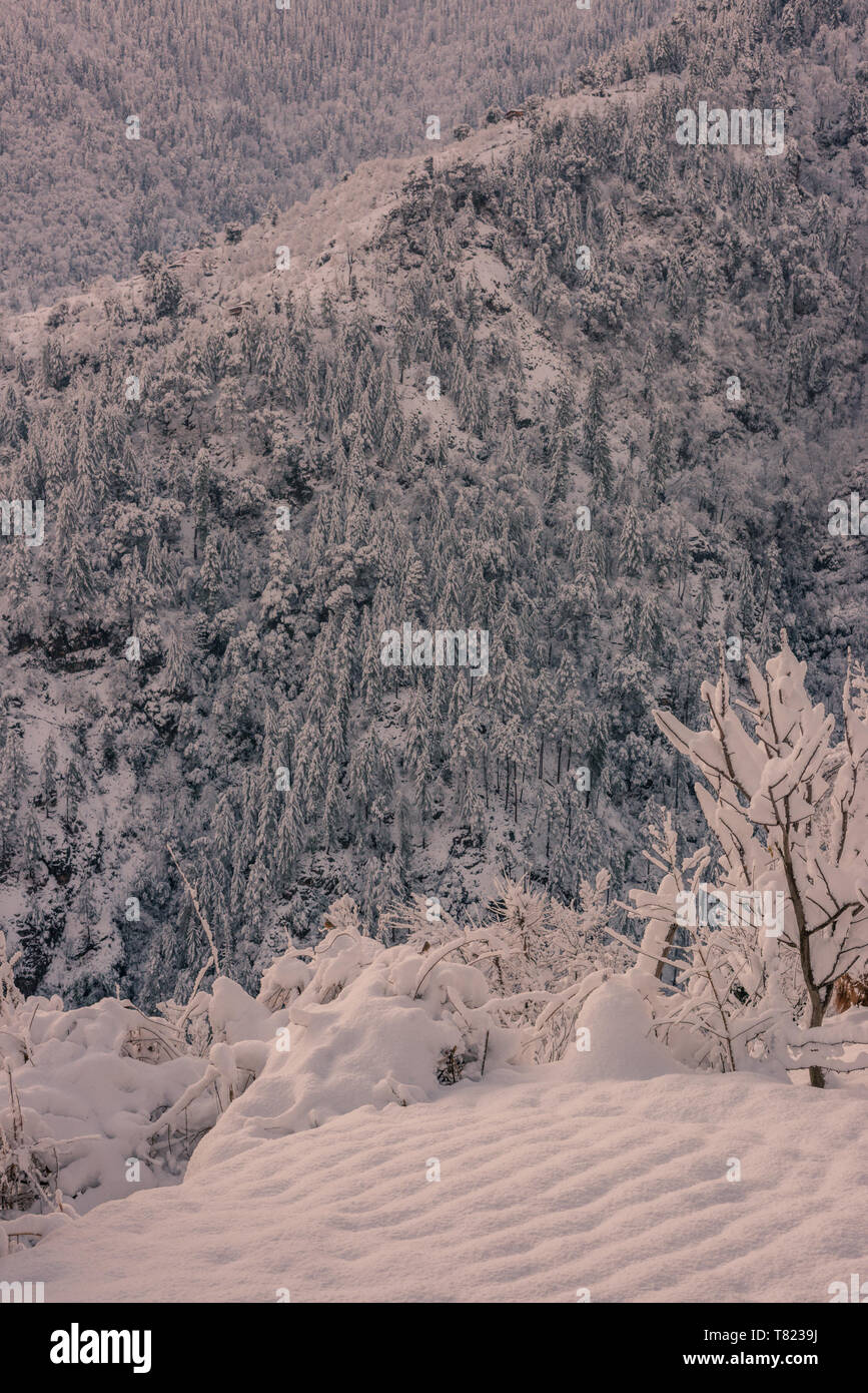 Majestic winter landscape in himalayas - Himachal, India Stock Photo ...