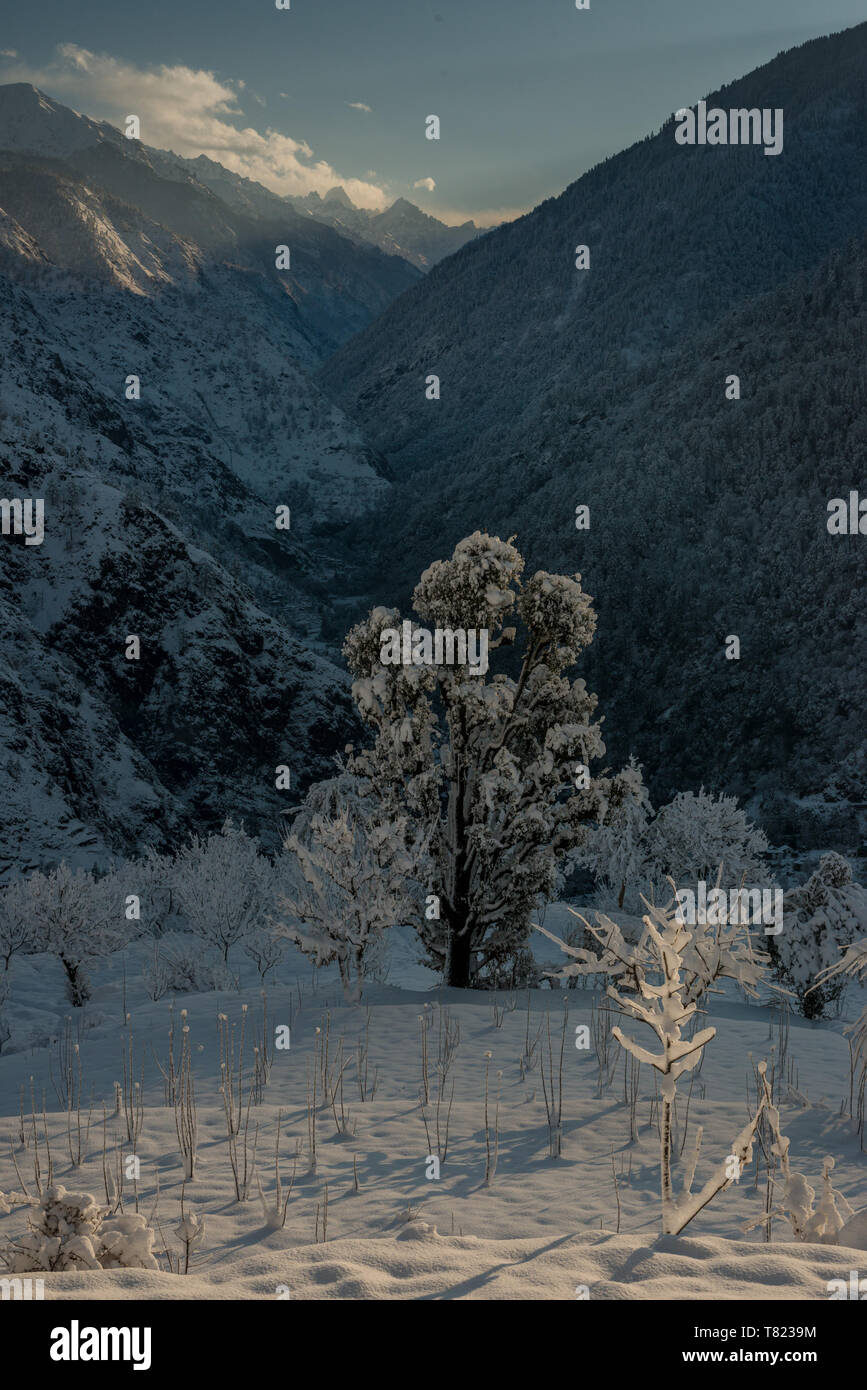 Majestic winter landscape in himalayas - Himachal, India Stock Photo ...