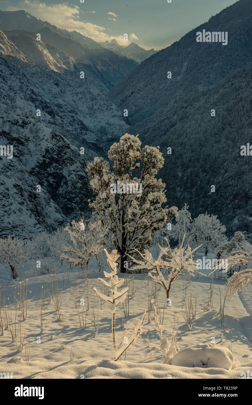 Majestic winter landscape in himalayas - Himachal, India Stock Photo ...