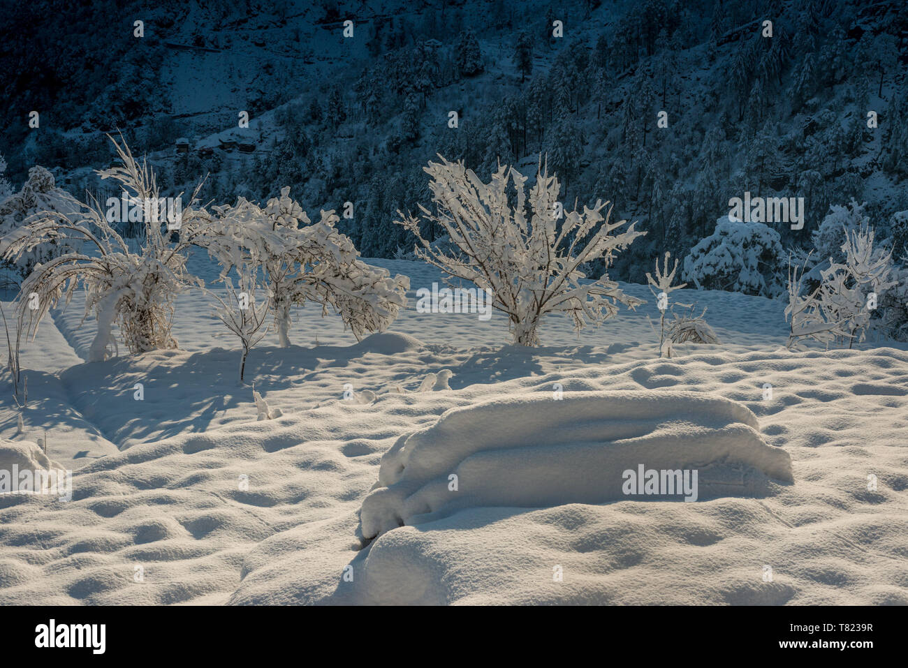 Majestic winter landscape in himalayas - Himachal, India Stock Photo ...