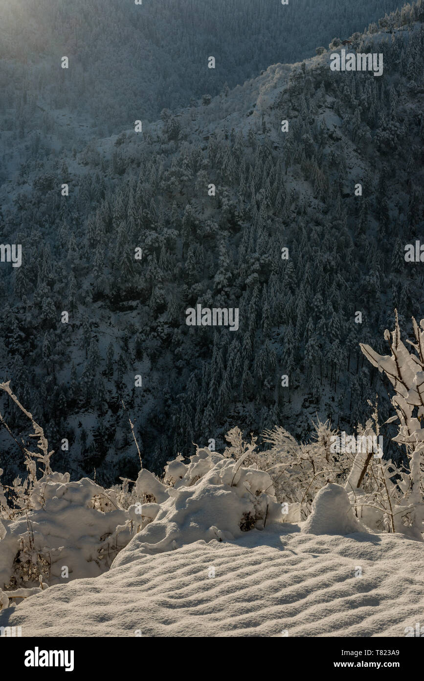 Majestic winter landscape in himalayas - Himachal, India Stock Photo ...
