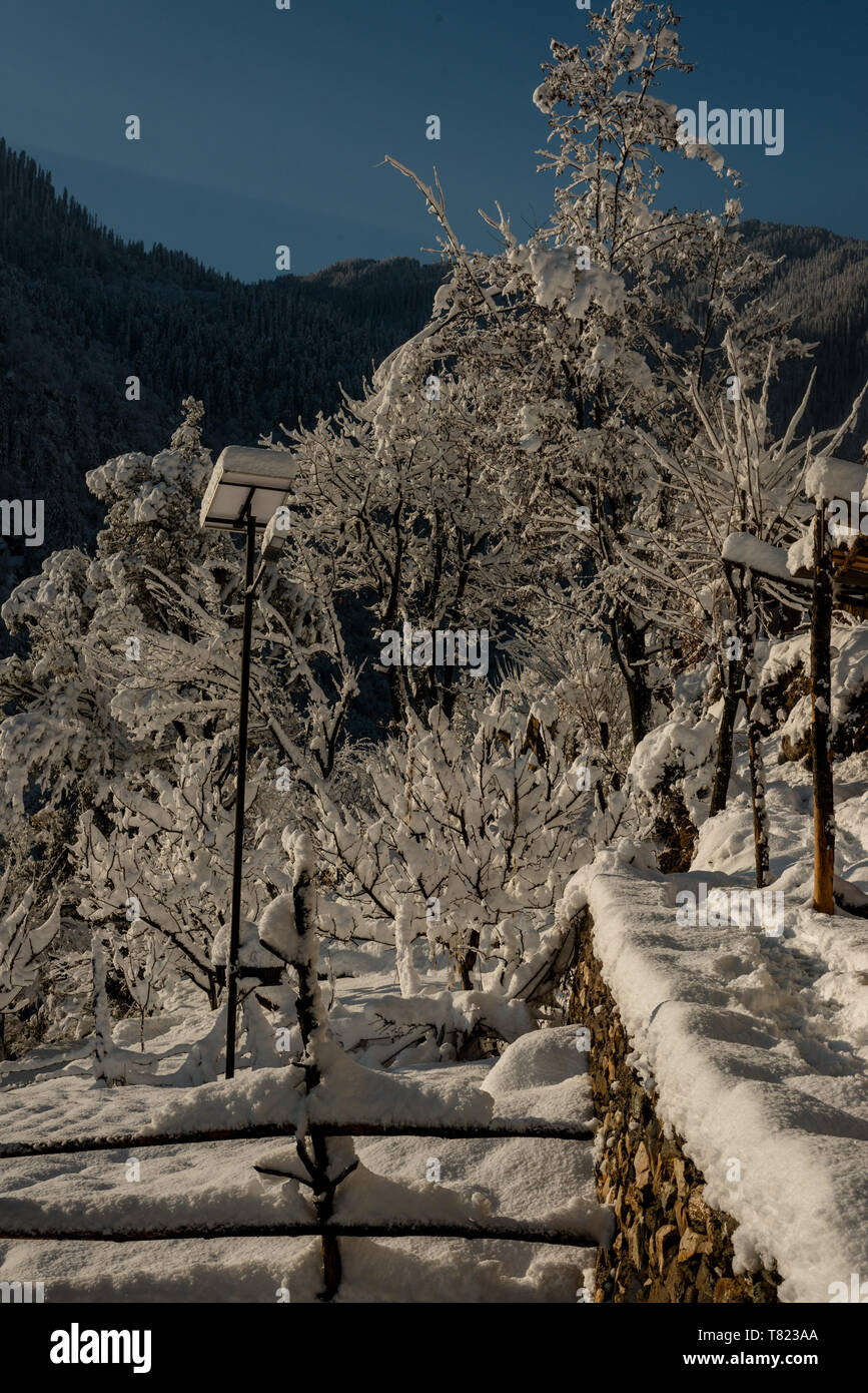 Majestic winter landscape in himalayas - Himachal, India Stock Photo ...