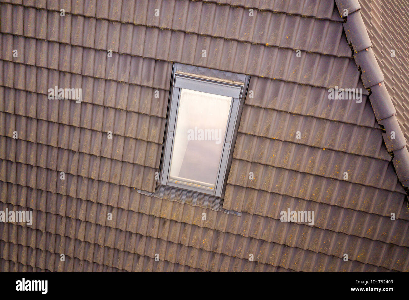 Close-up of new attic plastic window installed in shingled house roof ...