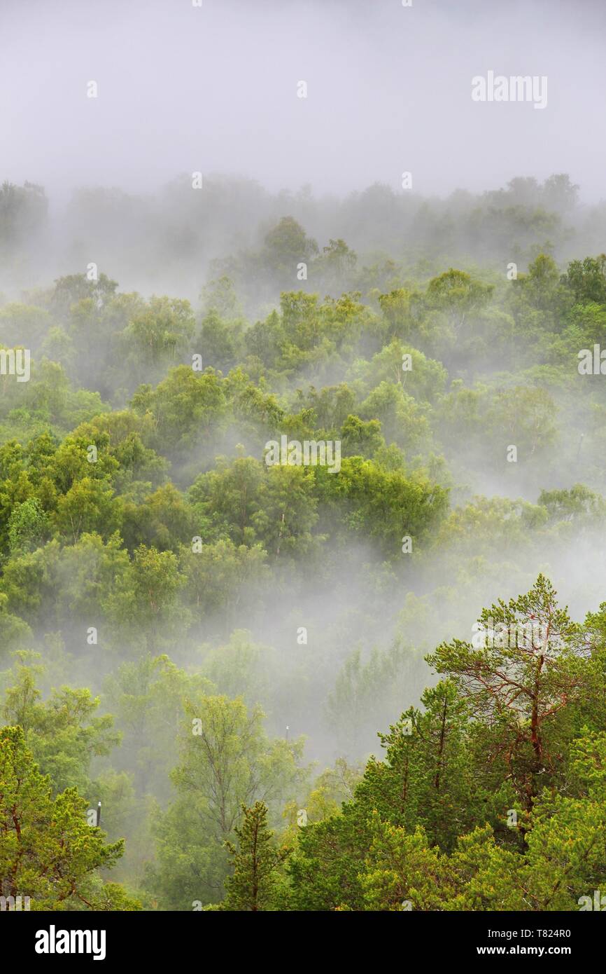 Spooky aerial hi-res stock photography and images - Alamy