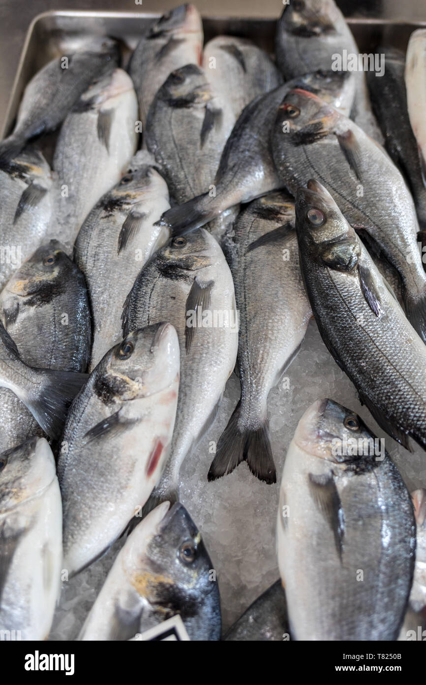 Fresh fish for sale at a fish market Stock Photo - Alamy