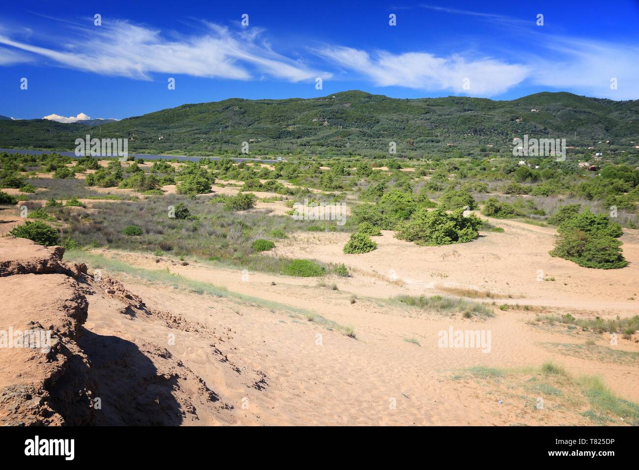 Greece - Corfu island landscape. Issos cedar forest, sand dunes and ...