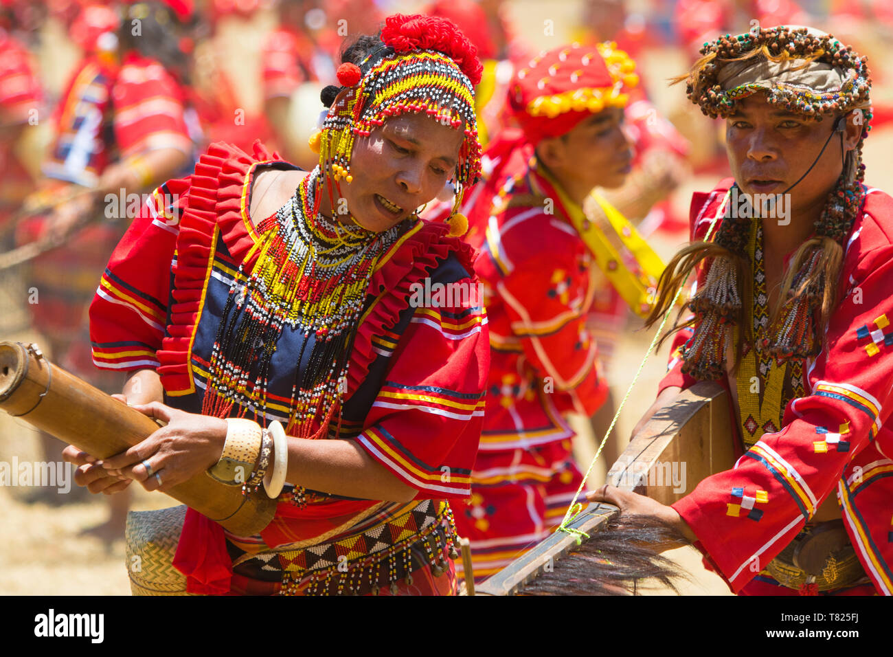 Kaamulan is a month long ethnic festival held annually in the Province ...