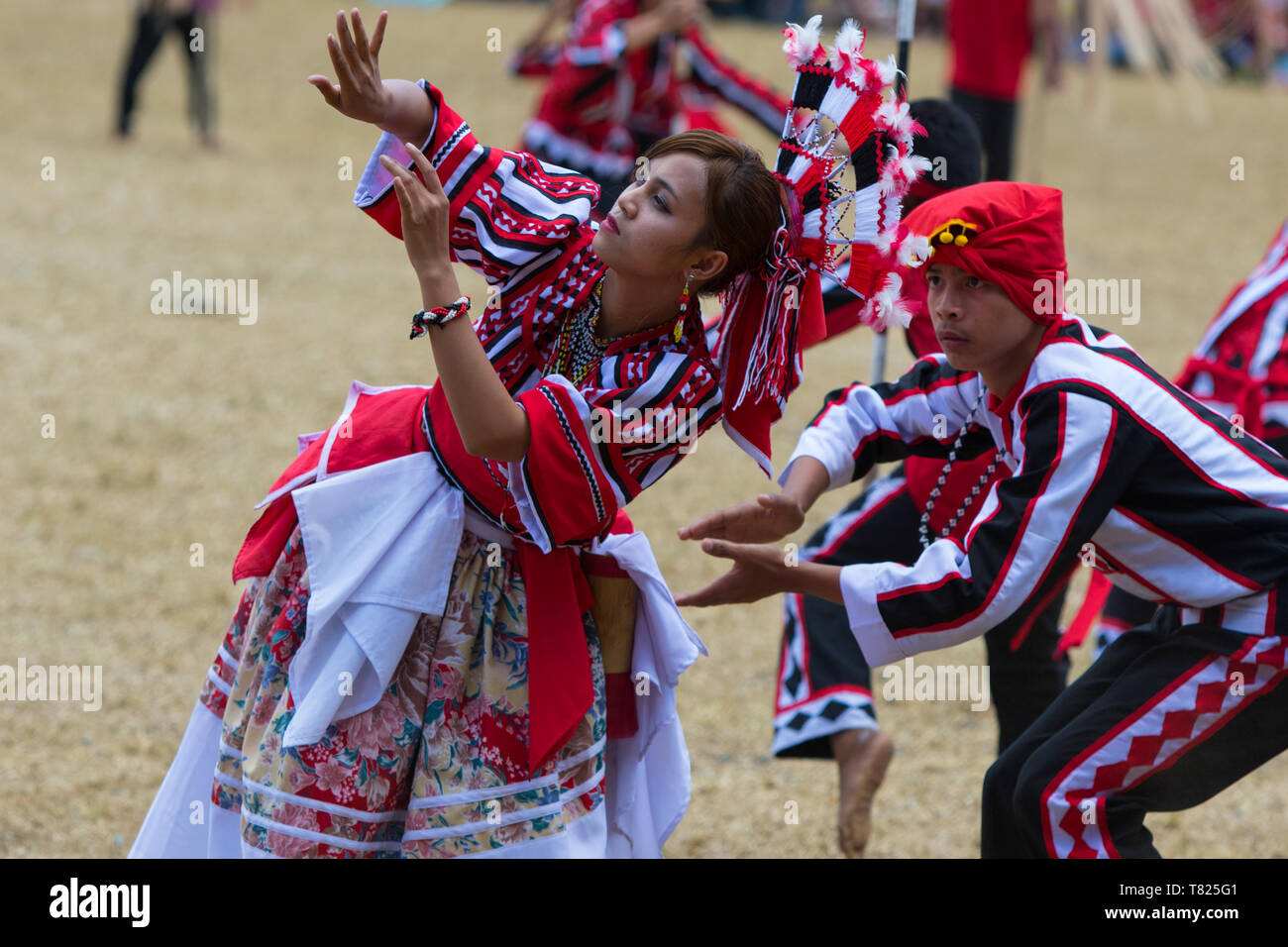 Kaamulan is a month long ethnic festival held annually in the Province ...