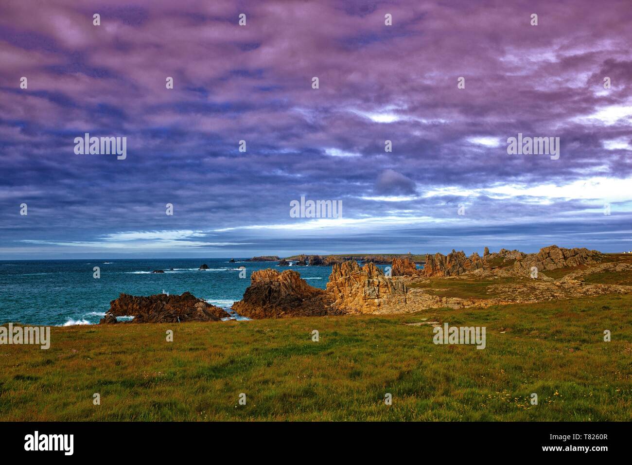 France, Finistere, Ponant islands, The Regional Natural Park of ...