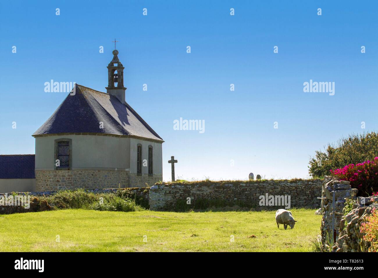 France, Finistere, Ponant islands, The Regional Natural Park of ...