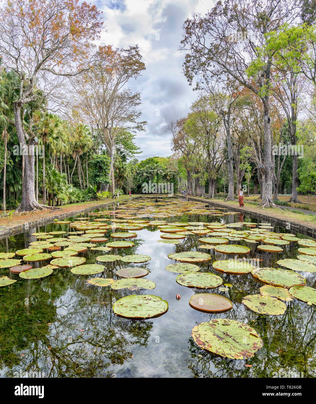 Mauritius, Pamplemousses disctrict, Pamplemousses, Sir Seewoosagur ...