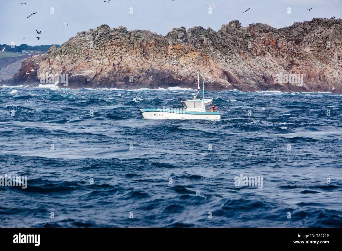 France, Finistere, Iroise, Sizun point, Plogoff, Pointe du Raz, The sea ...
