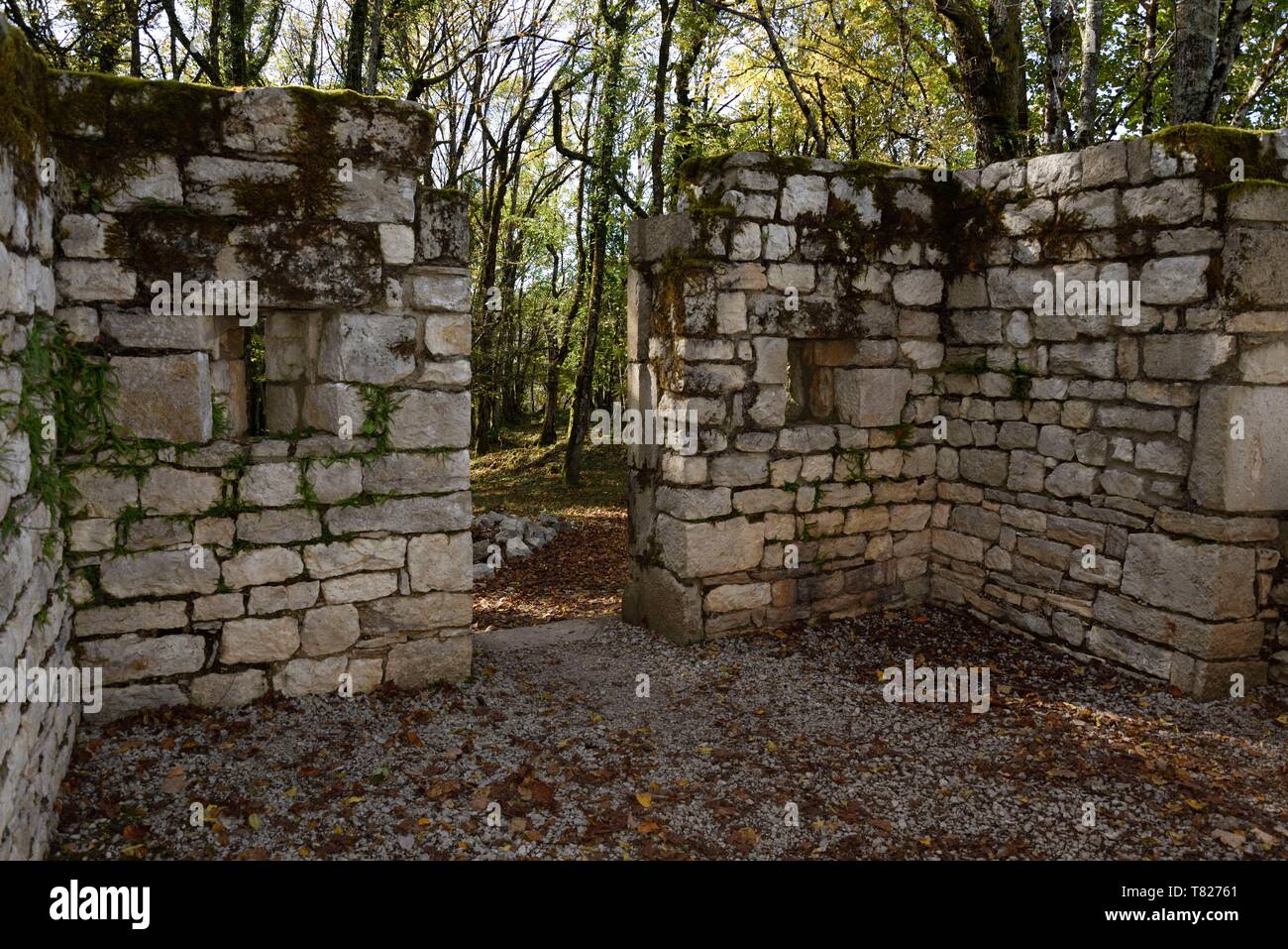 France, Jura, La Chatelaine, ruins of the castle dated 11th century, on ...