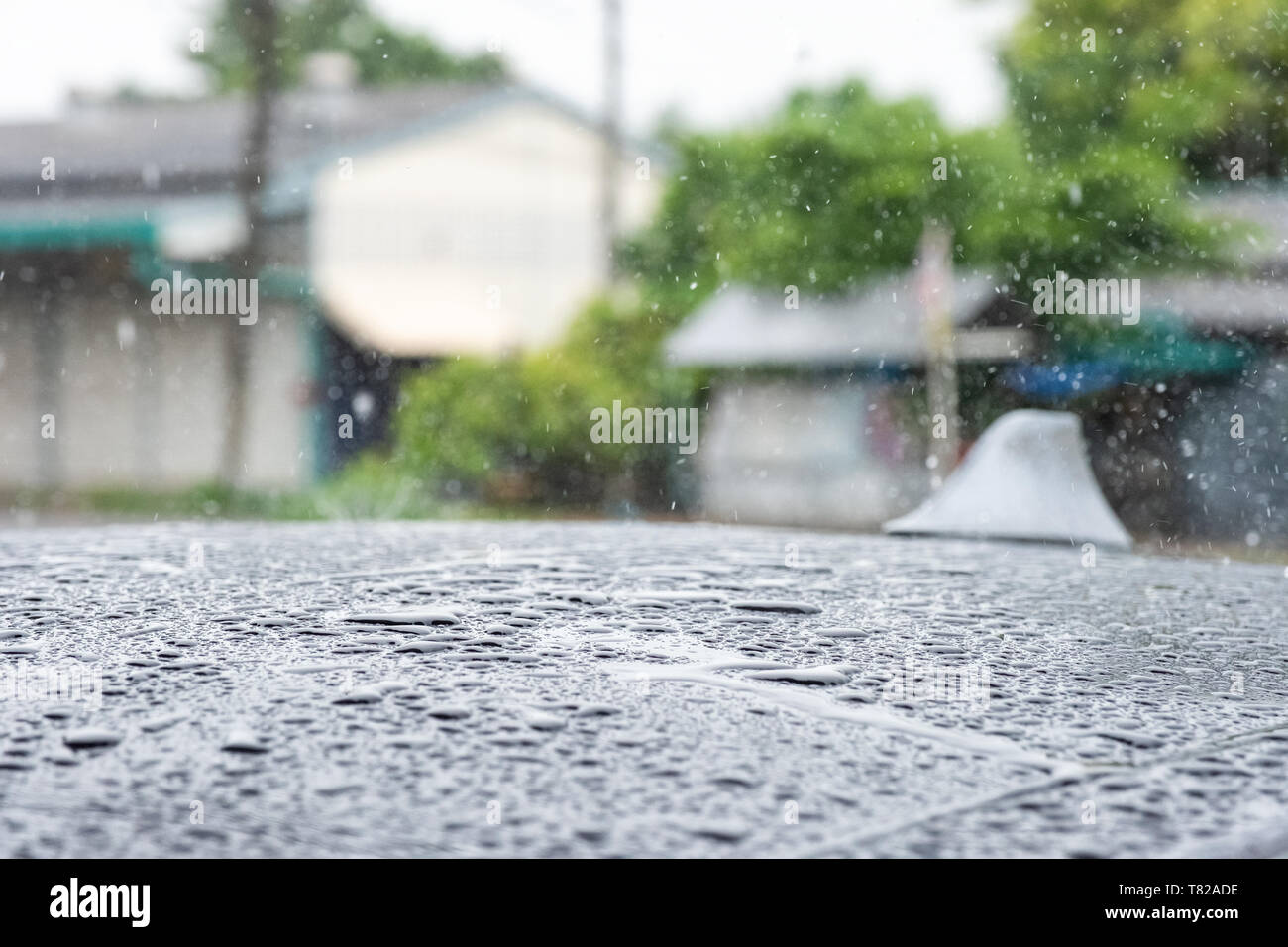 Close-up Raindrop falling on gray roof car Stock Photo - Alamy