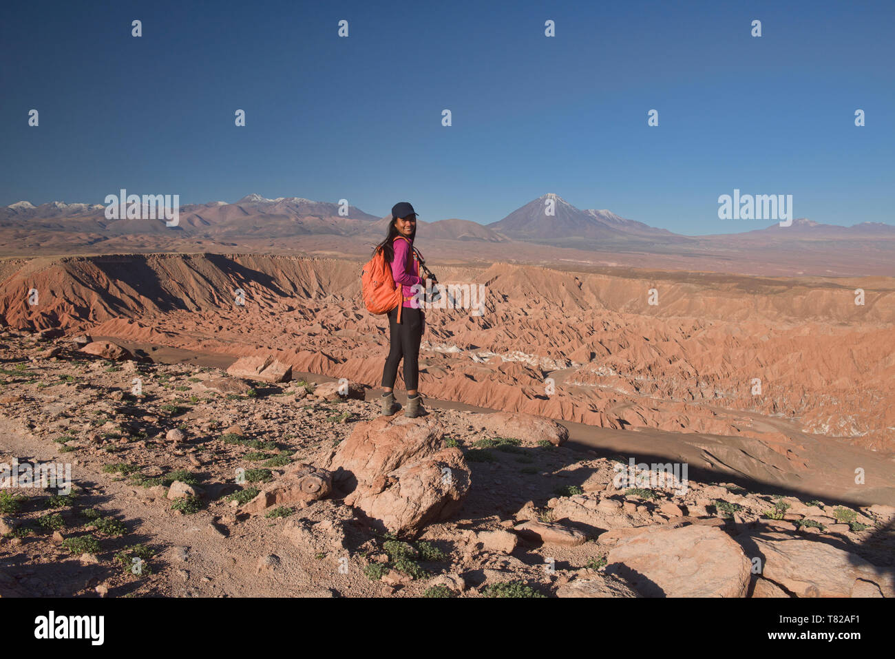 Tourist overlooking Licancabur volcano and the desert landscape in the ...