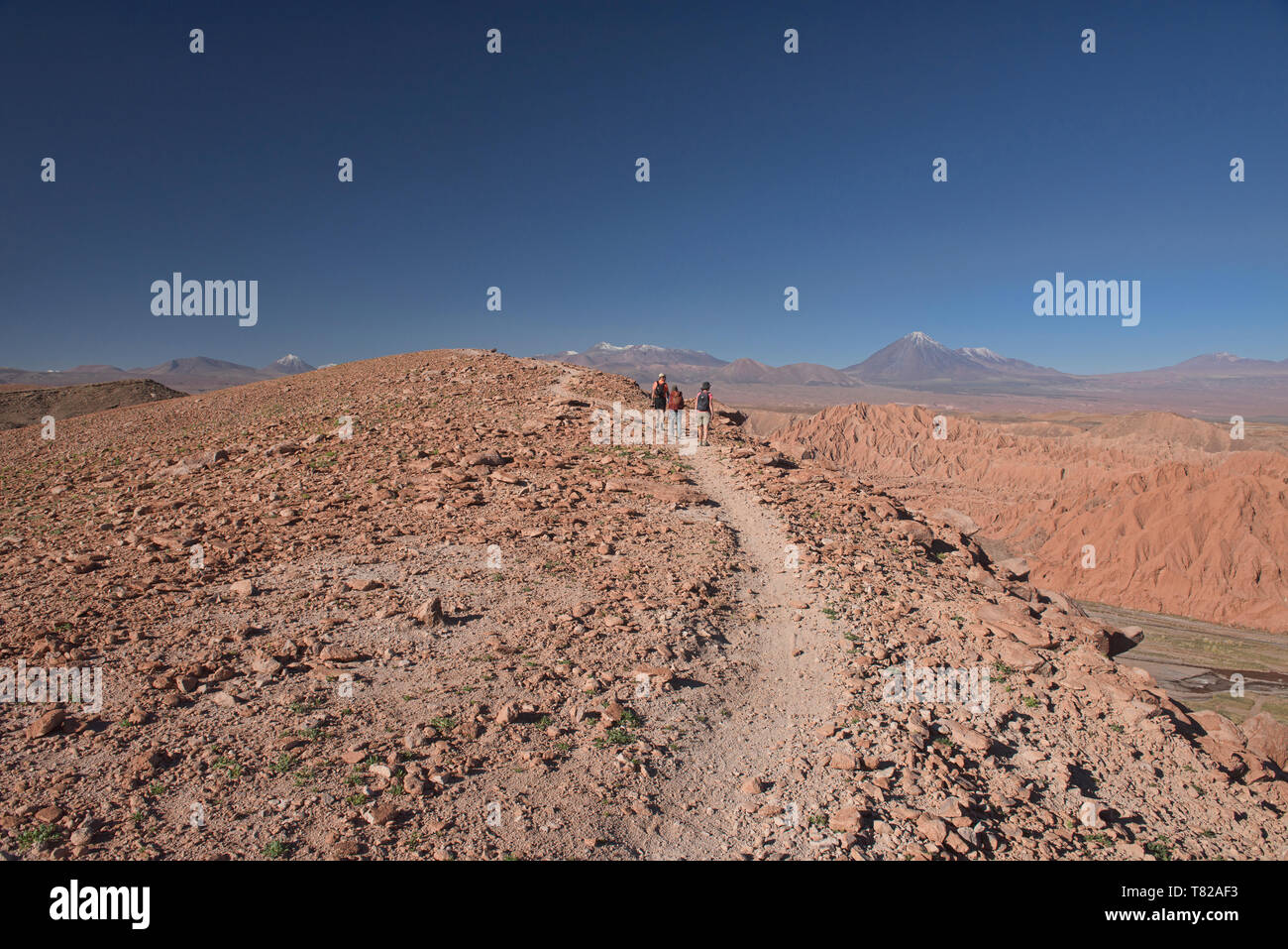 Hiking above Licancabur volcano and the desert landscape in the Moon ...