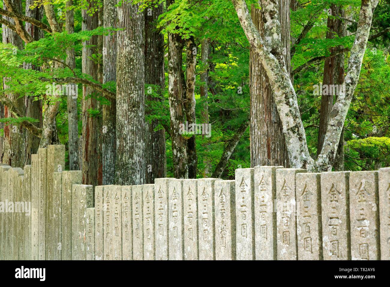 Garan Tree High Resolution Stock Photography and Images - Alamy