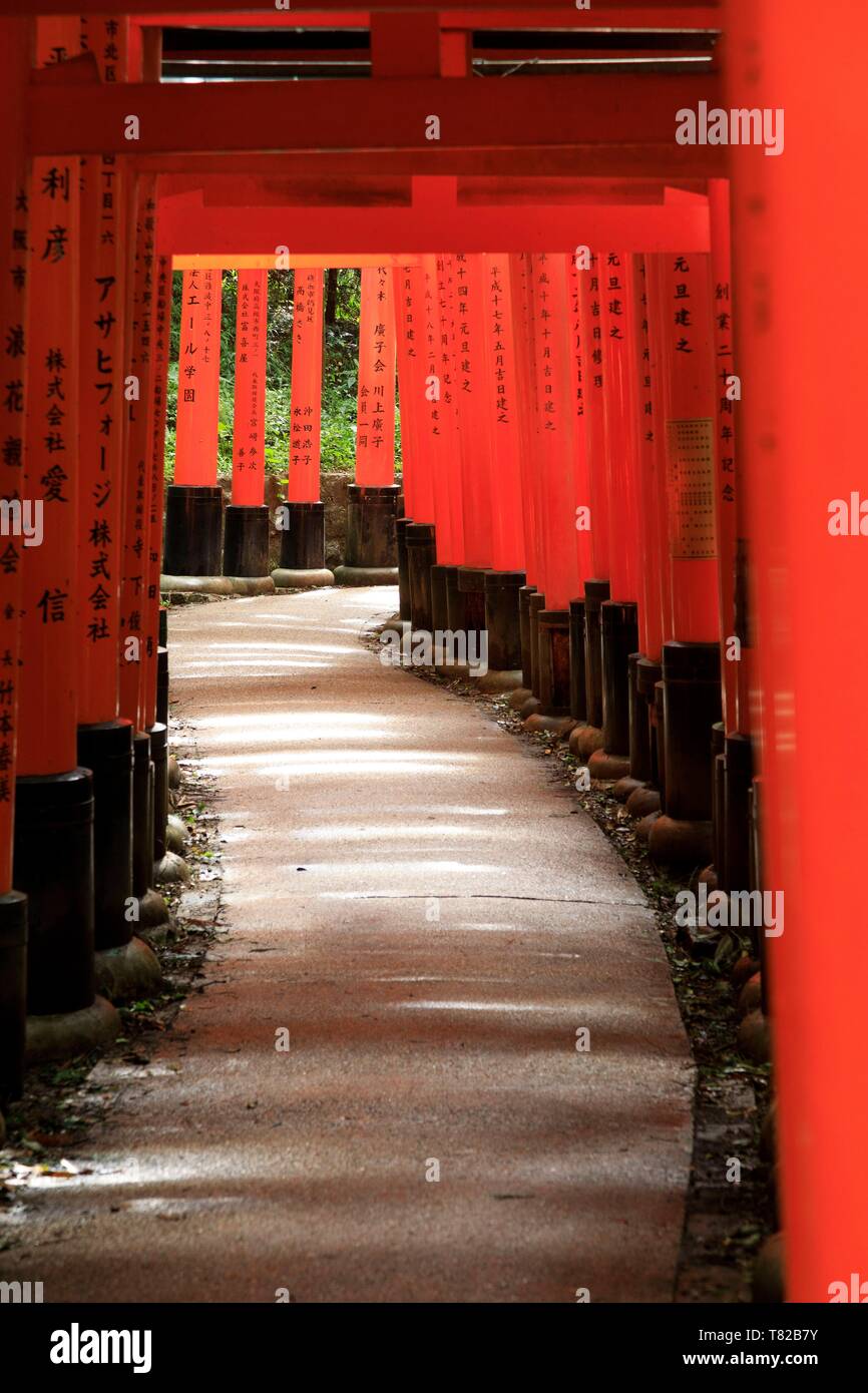 Japan, Honshu Island, Kansai Region, Kyoto, Fushimi-ku District, Shrine ...