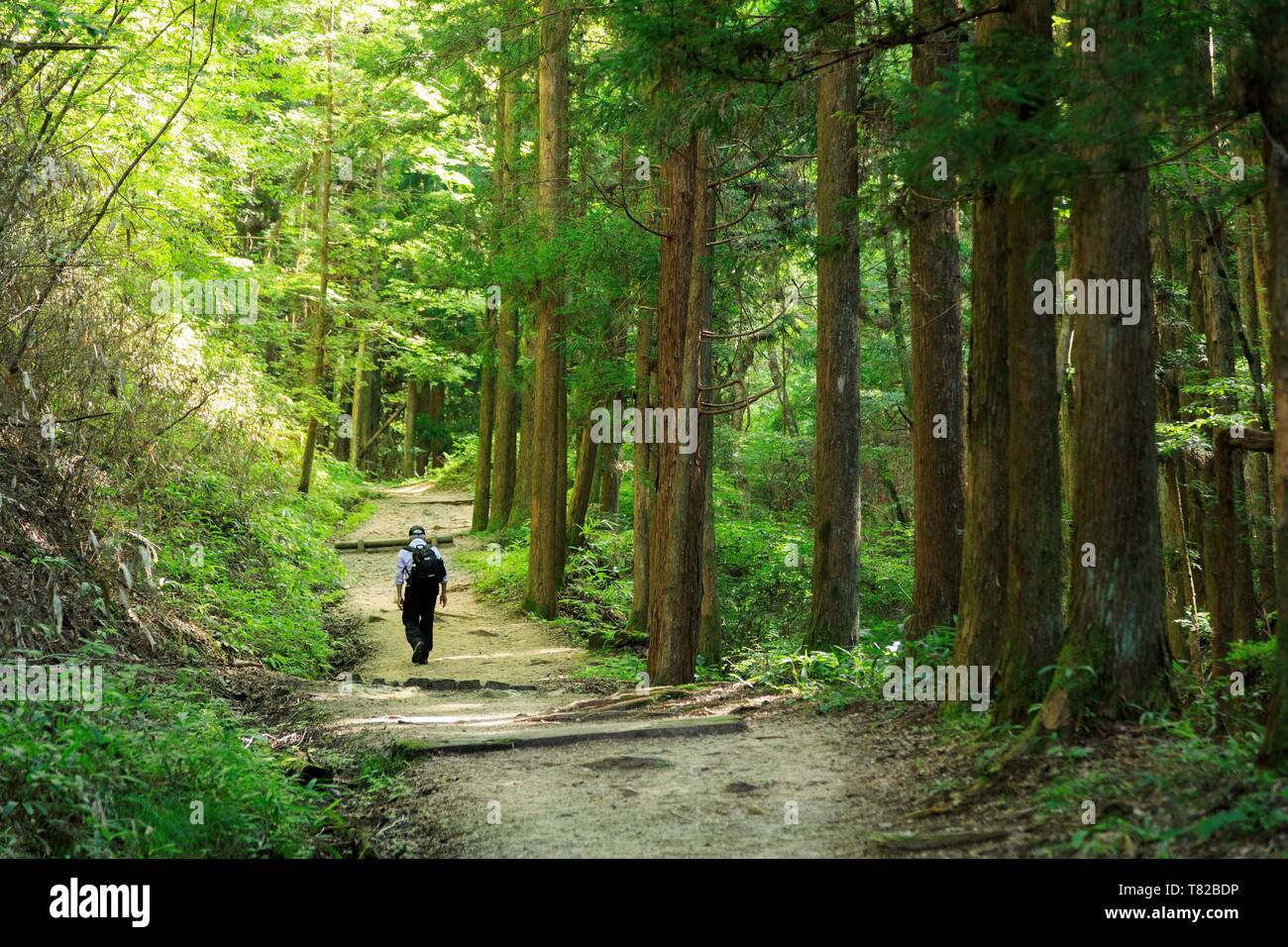 Japan, Honshu Island, Chubu Region, Nagano Prefecture, Kiso Valley ...