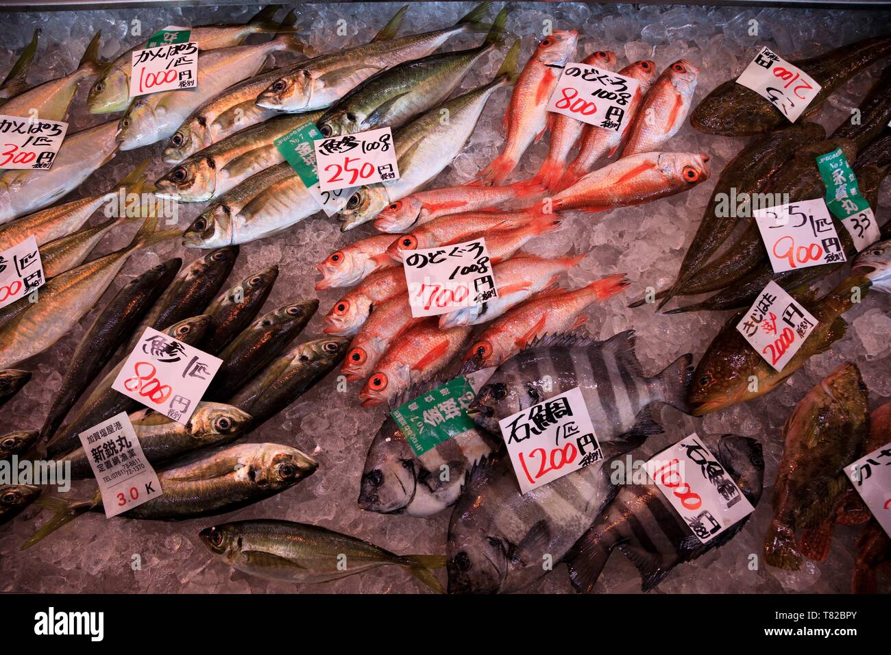 Japan, Honshu Island, Chubu Region, Ishikawa Prefecture, Kaga ...