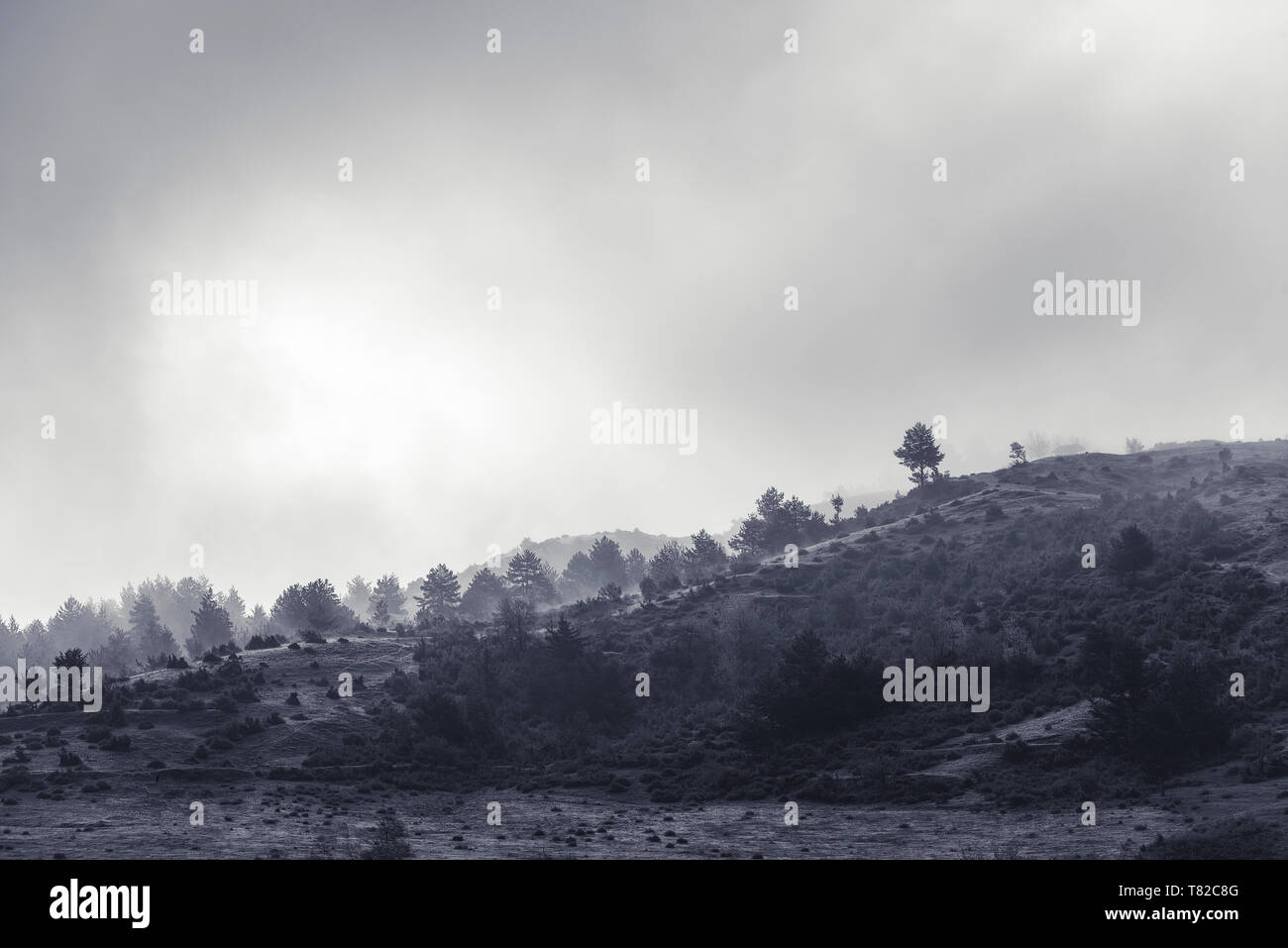 Cold spring morning in hi-res stock photography and images - Alamy