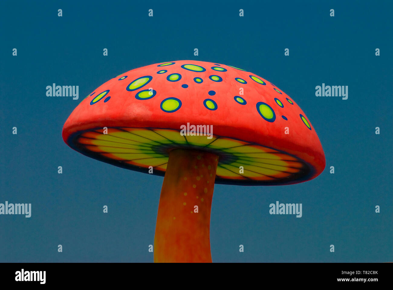 Giant mushroom hi-res stock photography and images - Alamy