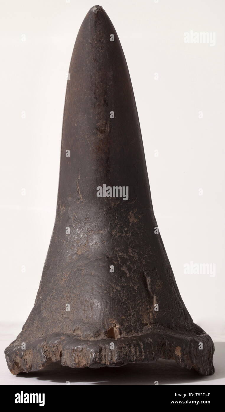 Long curve horn hi-res stock photography and images - Alamy