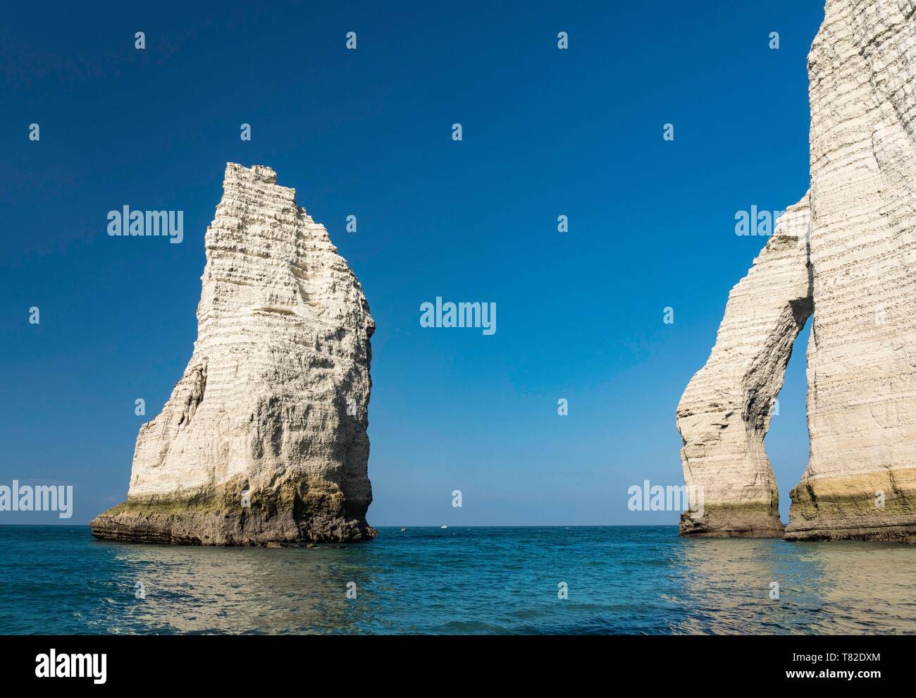 France, Seine Maritime, Cote d'albatre, Etretat, the cliff, arch and ...